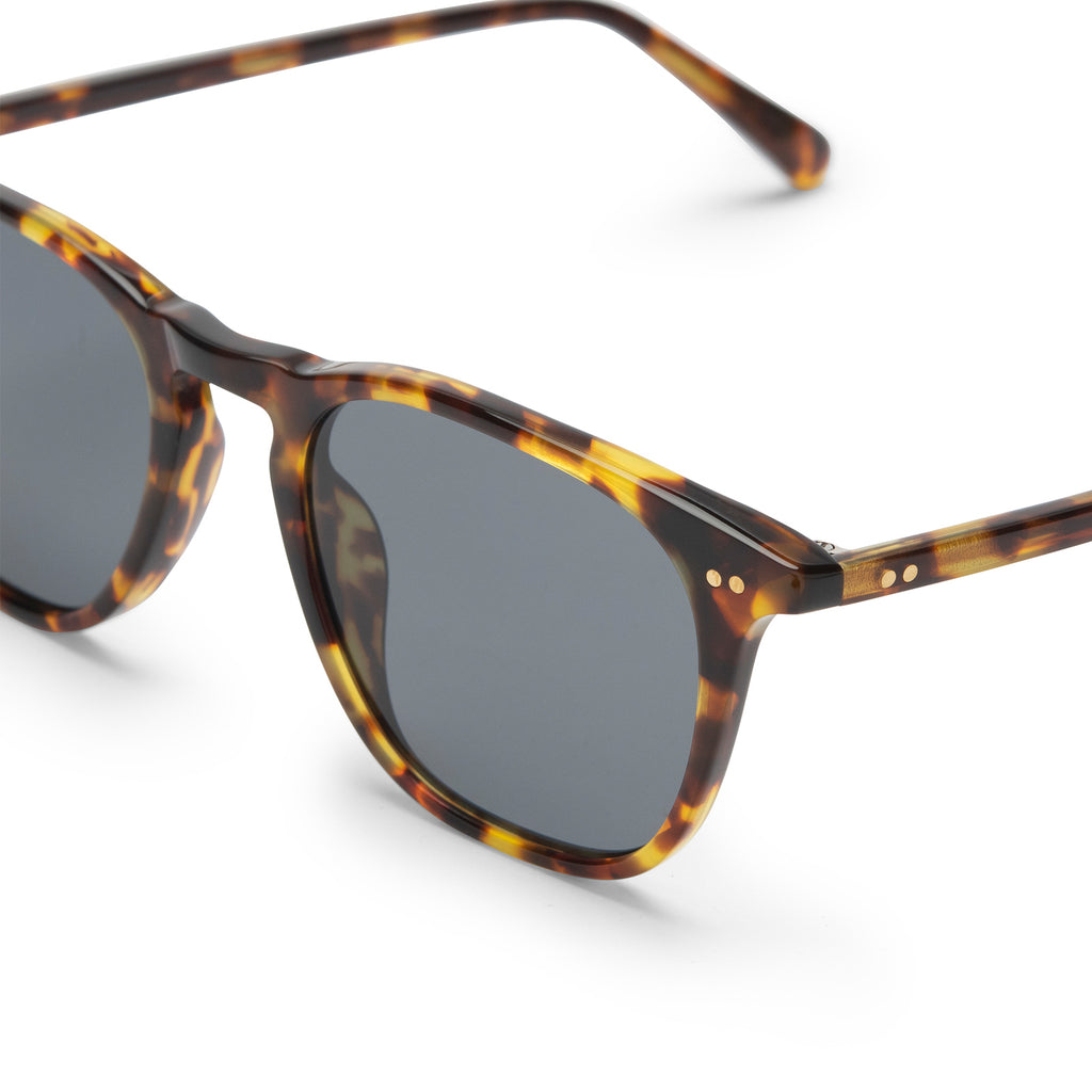 Maxwell Square Sunglasses | Amber Tortoise & Grey Polarized | DIFF Eyewear